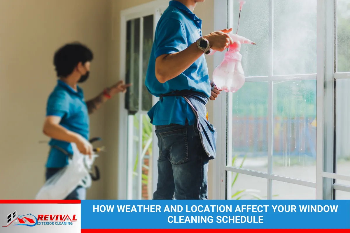 How Weather Affects Window Cleaning | Revival Exterior Cleaning ...