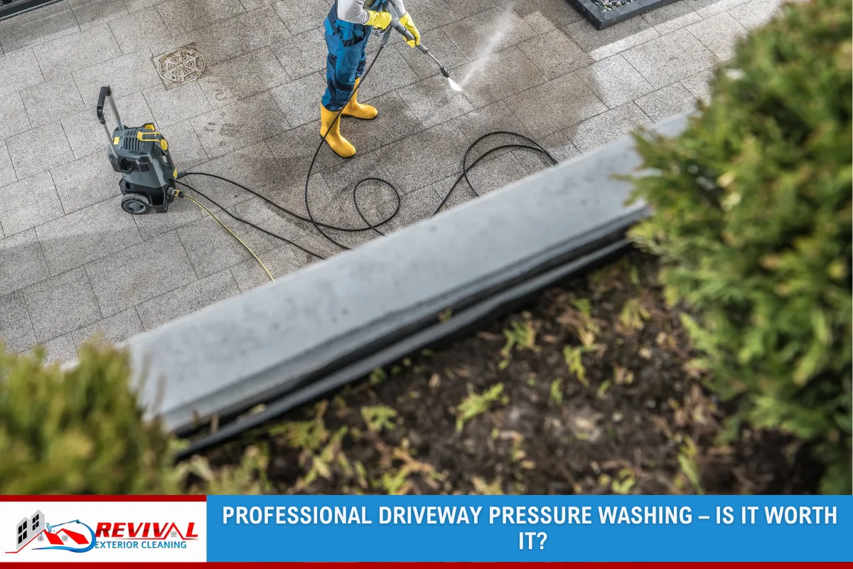 DIY vs. Professional Driveway Pressure Washing in Charlotte | Revival ...